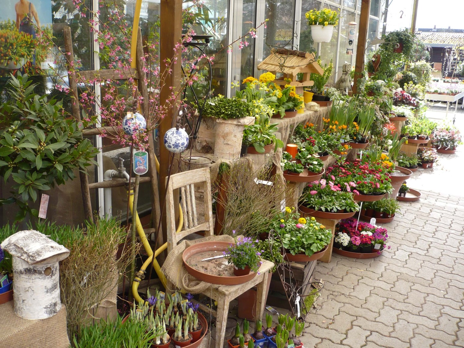 Florus – Gartengestaltung – Florus