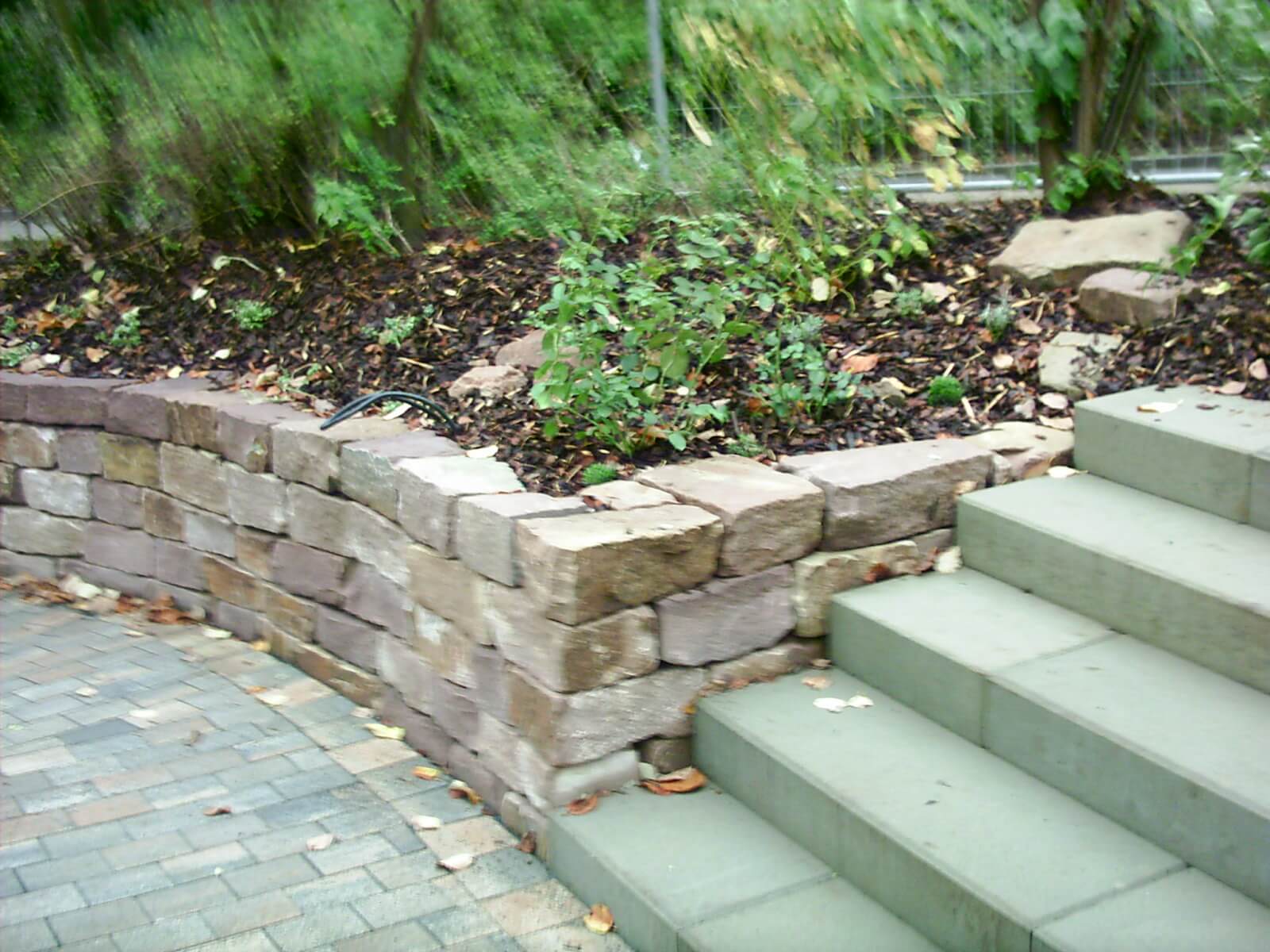 Florus – Gartengestaltung – Florus